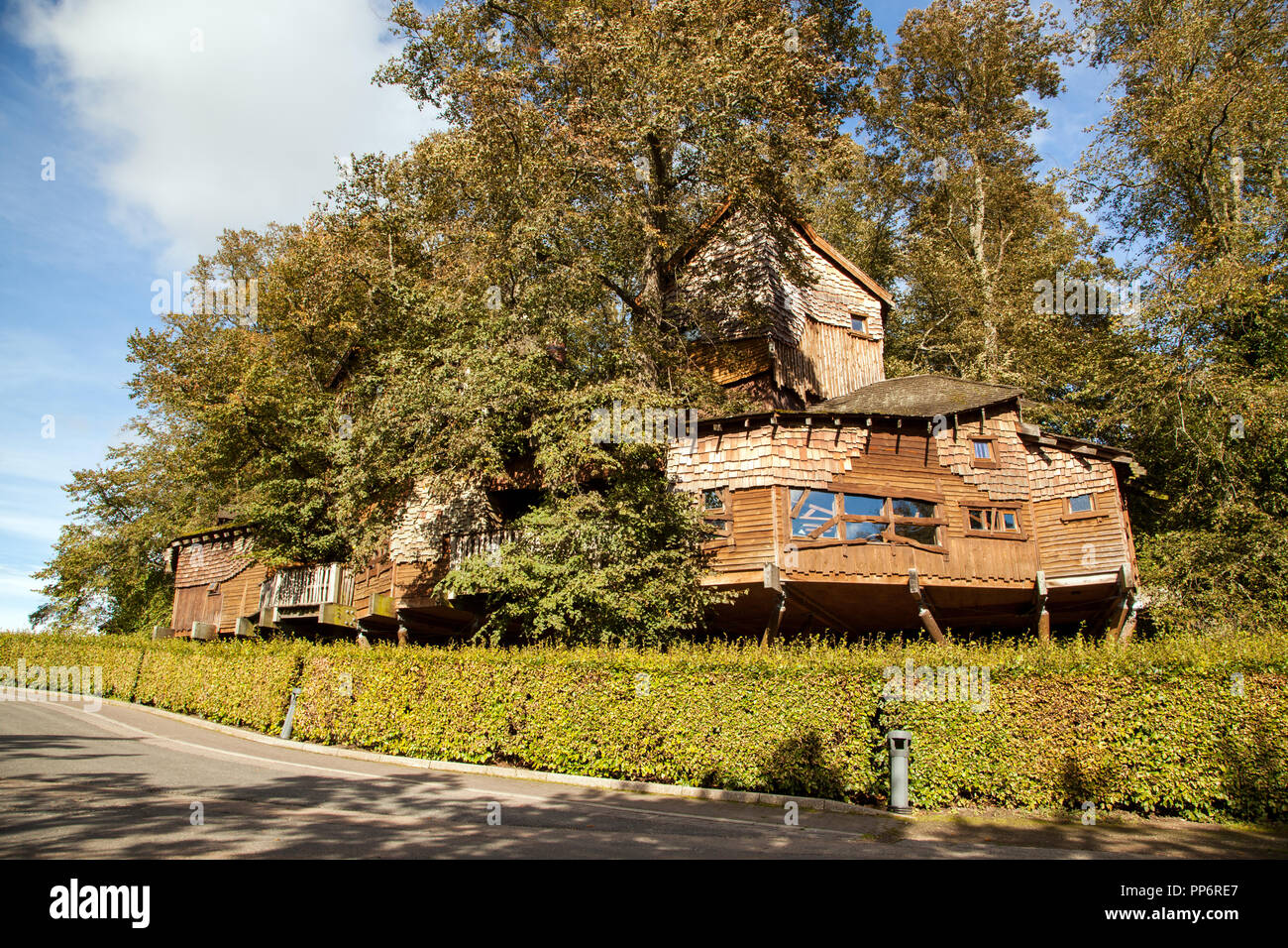 Alnwick tree house hi-res stock photography and images - Alamy
