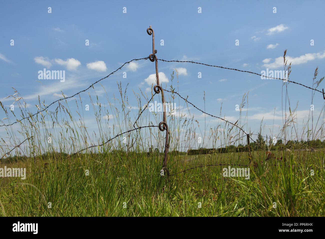 Barbed wire entanglement hi-res stock photography and images - Alamy