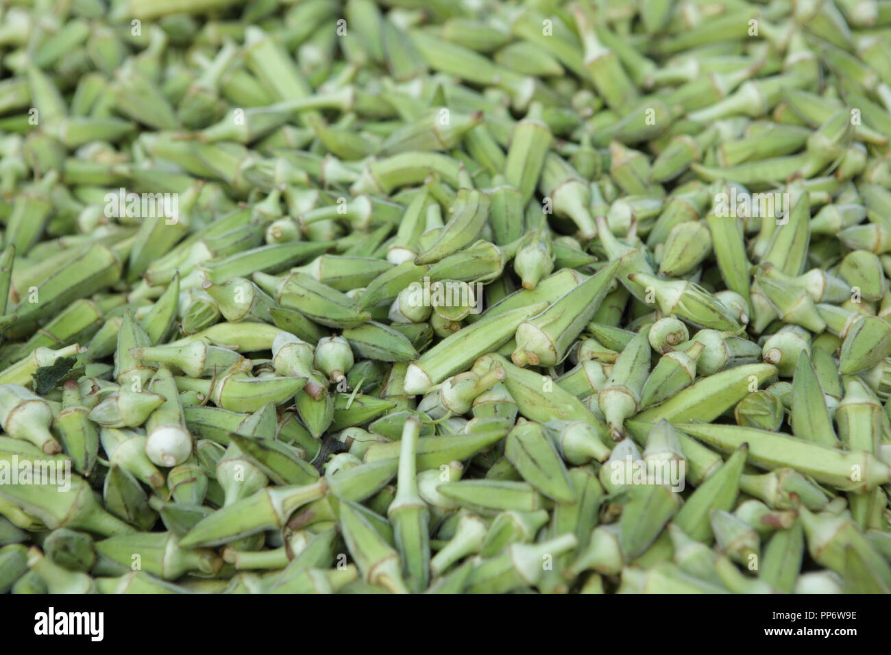 Raw okra background Stock Photo - Alamy