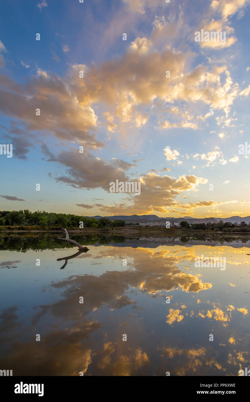 Shoreline city park hi-res stock photography and images - Alamy