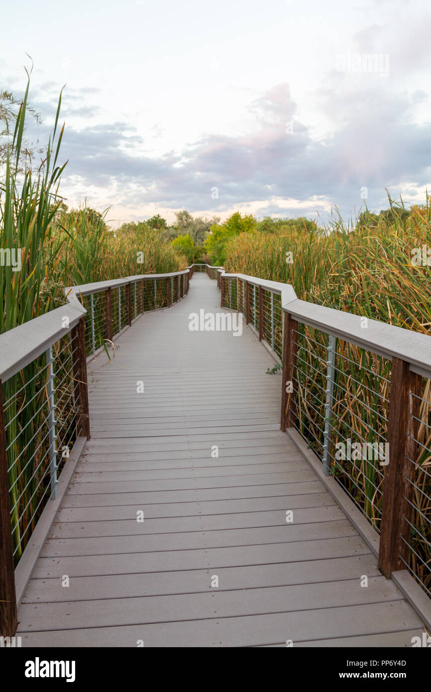 Sunset in the Wheat Ridge Green Belt, Wheat Ridge Colorado, USA Stock ...