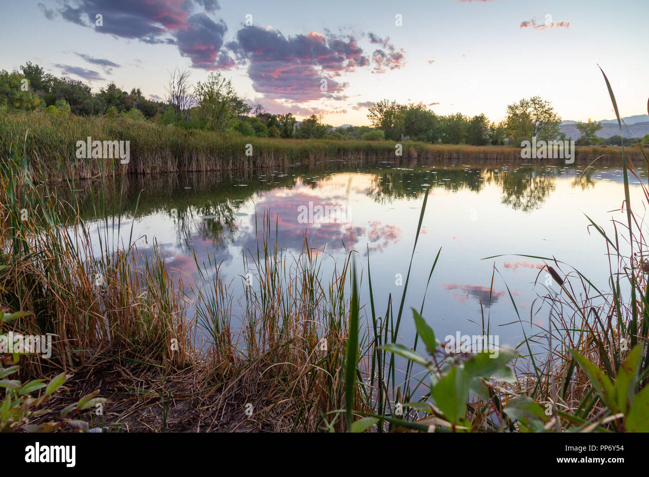 Shoreline belt hi-res stock photography and images - Alamy