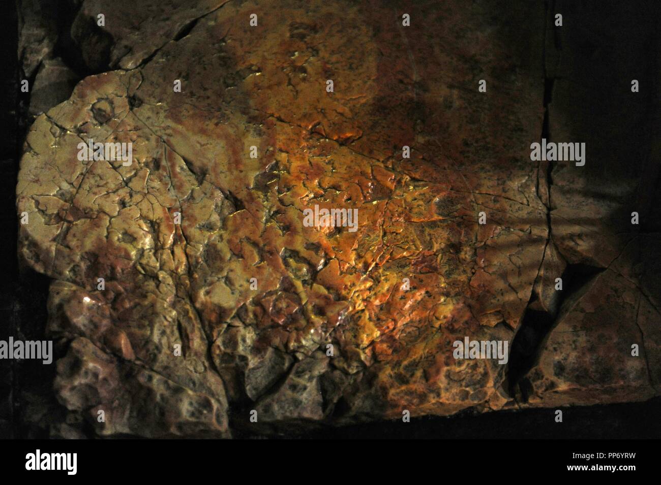 Ointment slab hi-res stock photography and images - Alamy