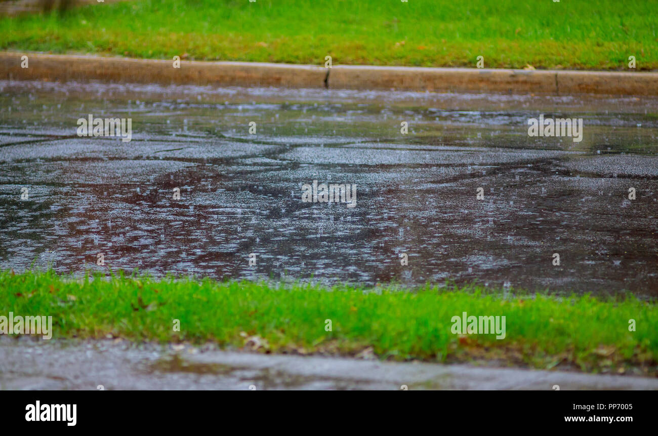 water ripples during heavy rain, with raindrops on asphalt road Stock ...
