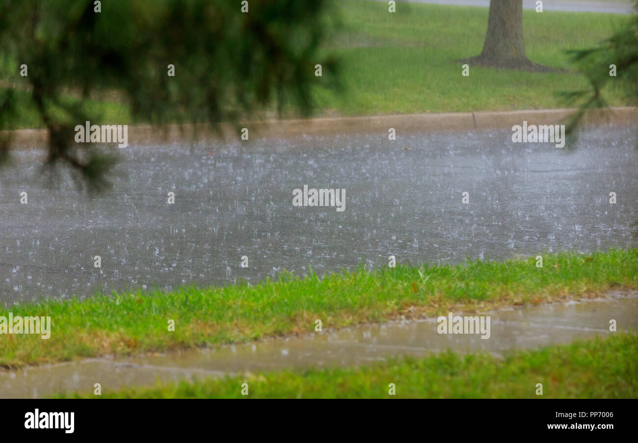 Summer thunderstorm with bad weather rain drop on wet asphalt road ...