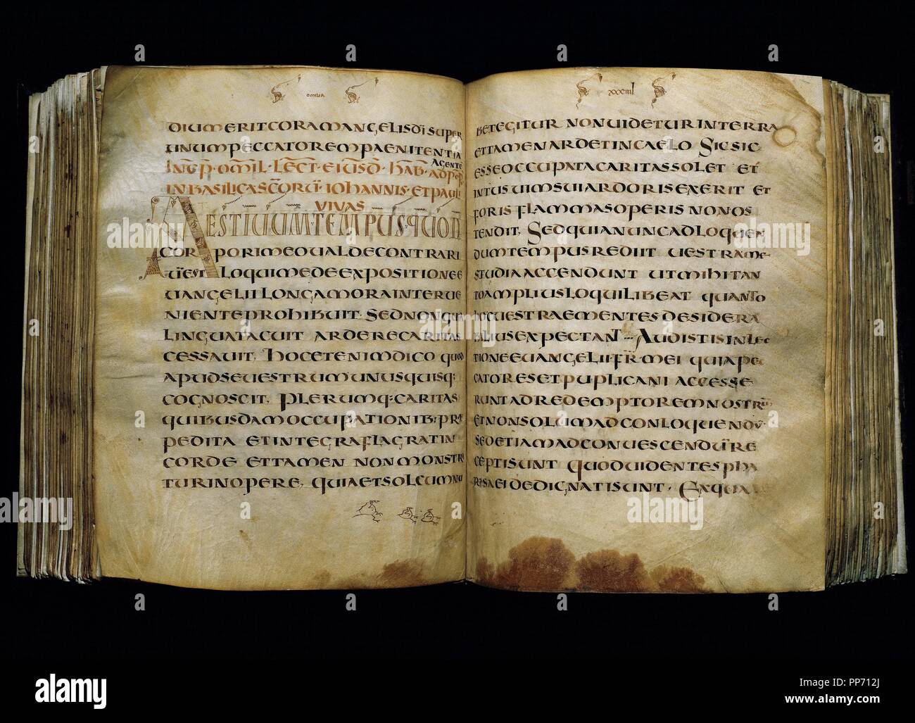 Medieval Pope Manuscript