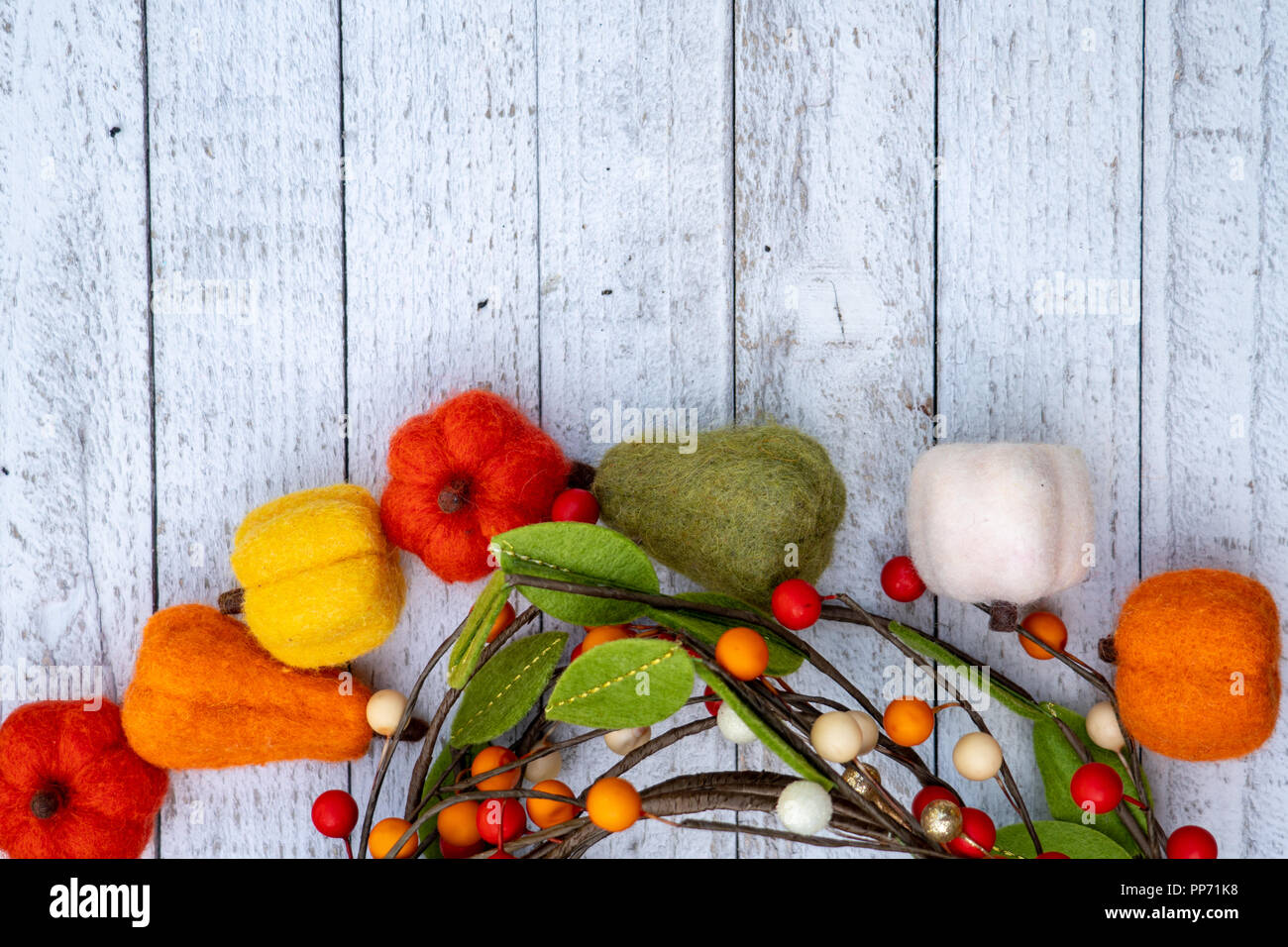 Fuzzy squash hi-res stock photography and images - Alamy