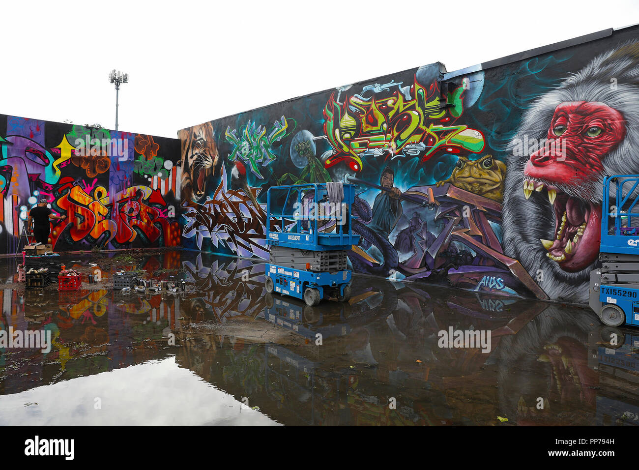 Houston. 23rd Sep, 2018. Photo taken on Sept. 23, 2018 shows the murals ...