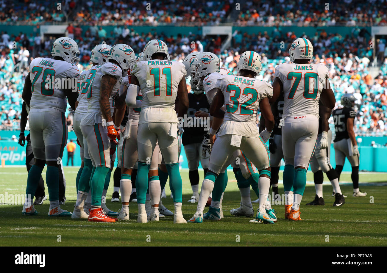 Miami dolphins hi-res stock photography and images - Alamy