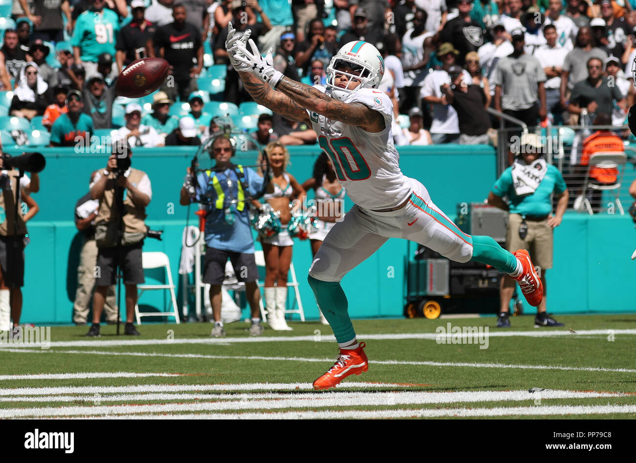 Kenny stills dolphins hi-res stock photography and images - Alamy