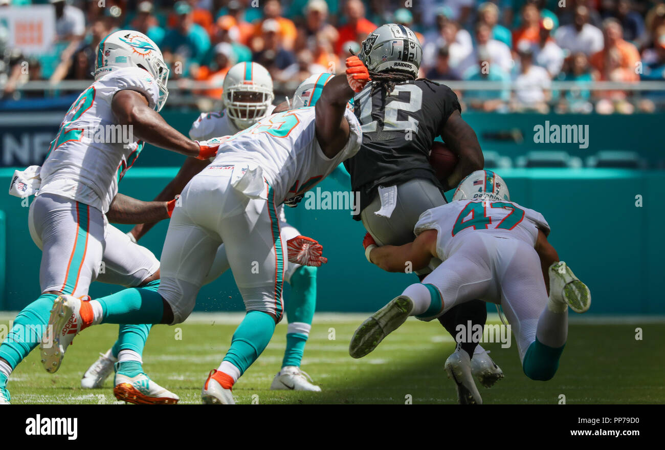 Miami dolphins hi-res stock photography and images - Alamy