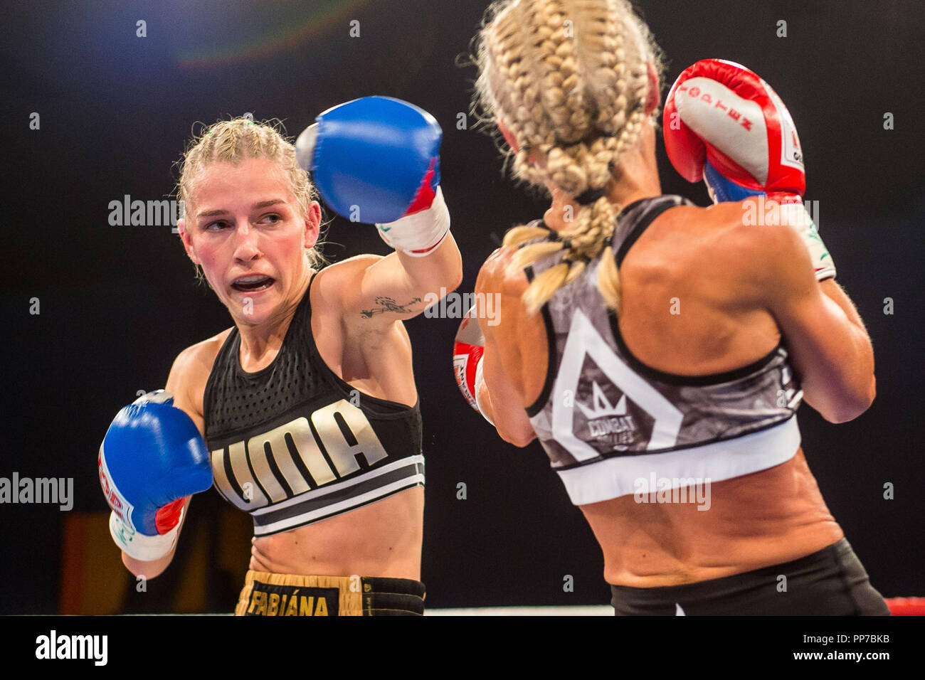 Wbc World Title Match High Resolution Stock Photography and Images - Alamy