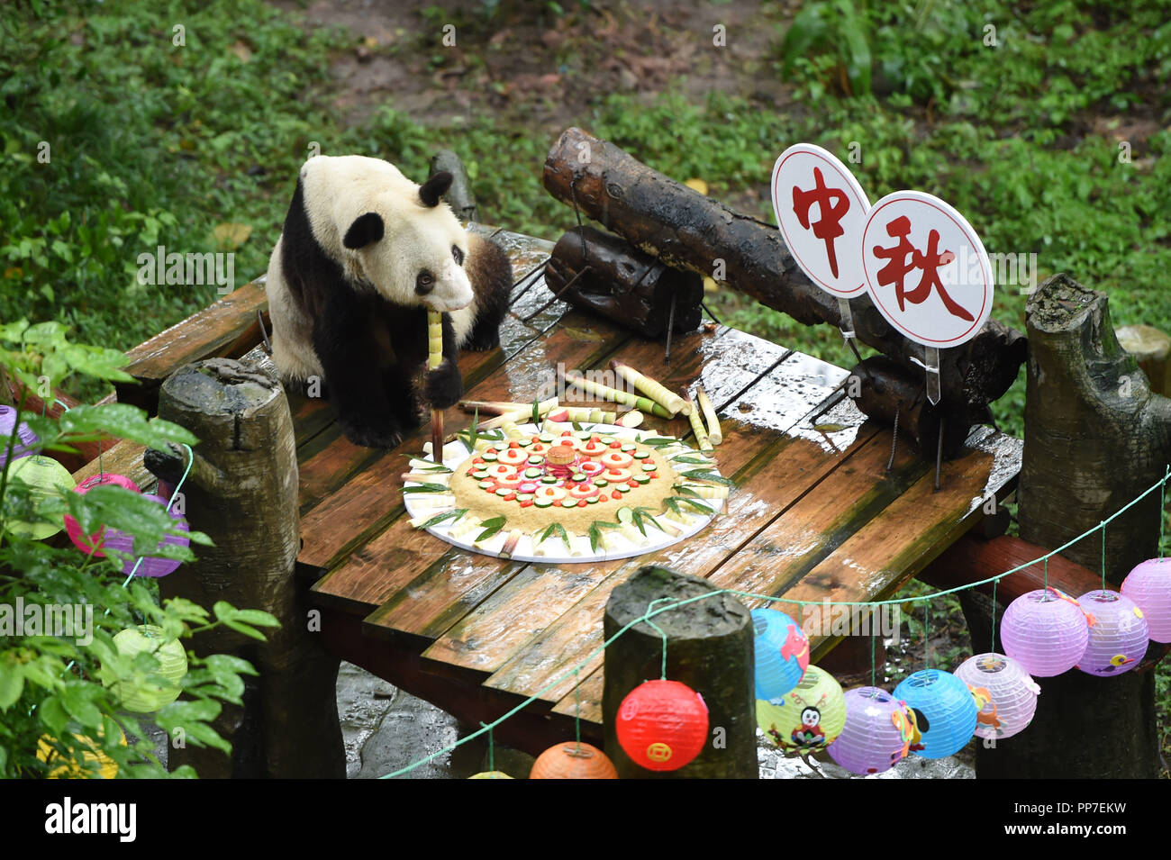 36 year calendar hi-res stock photography and images - Alamy