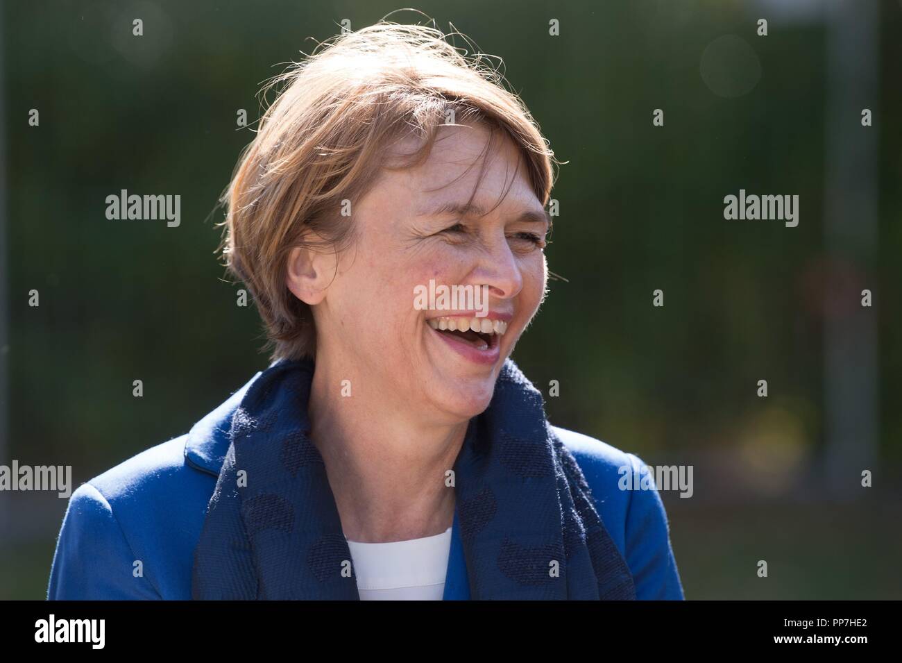 Willi hennig hi-res stock photography and images - Alamy