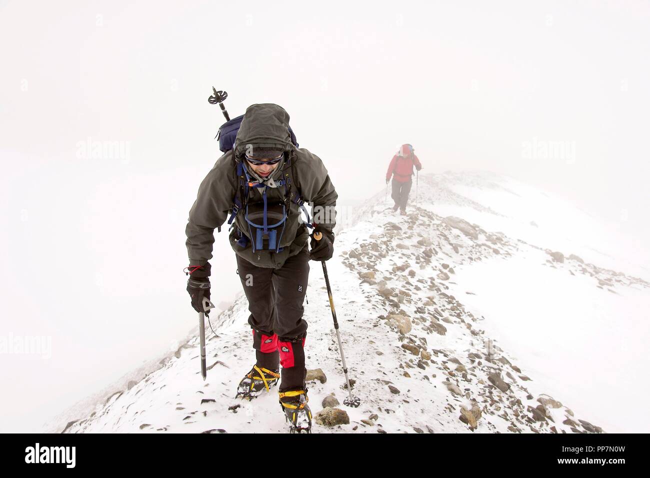 Pico posets hi-res stock photography and images - Alamy