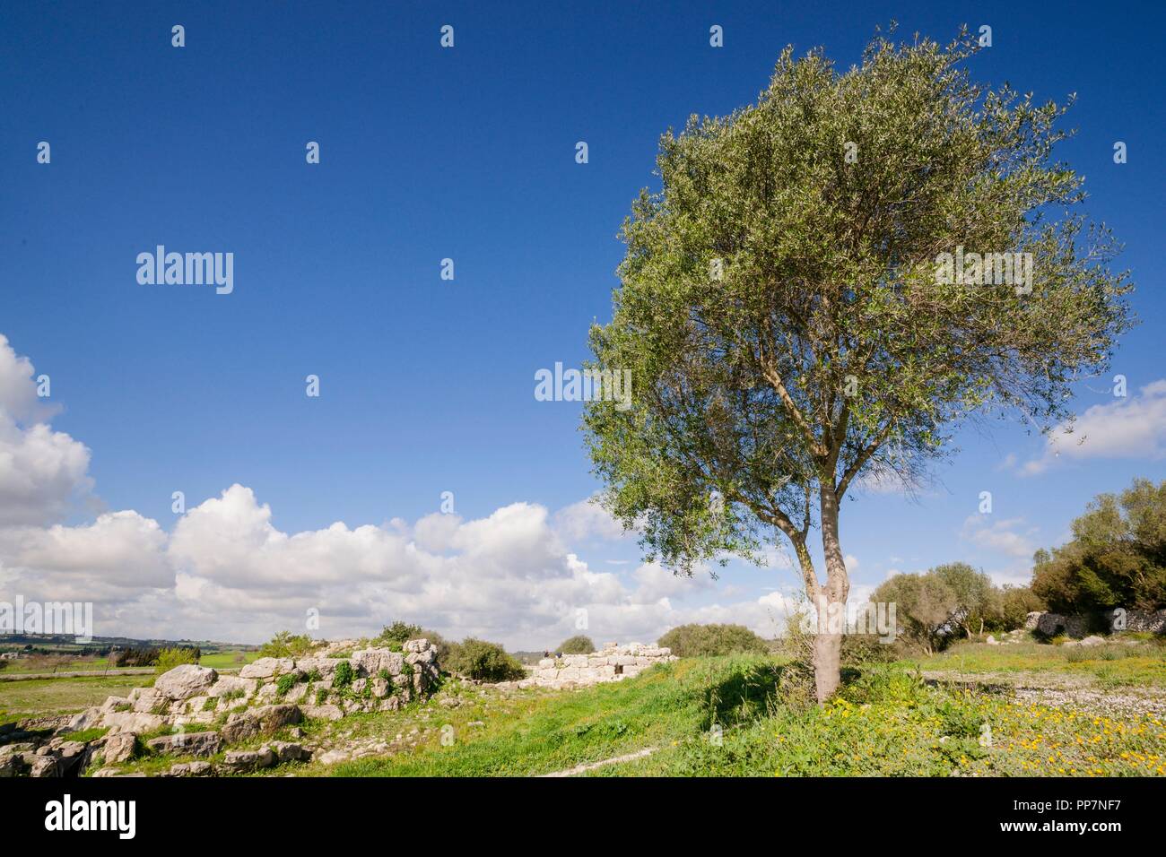 Talayote hi-res stock photography and images - Alamy