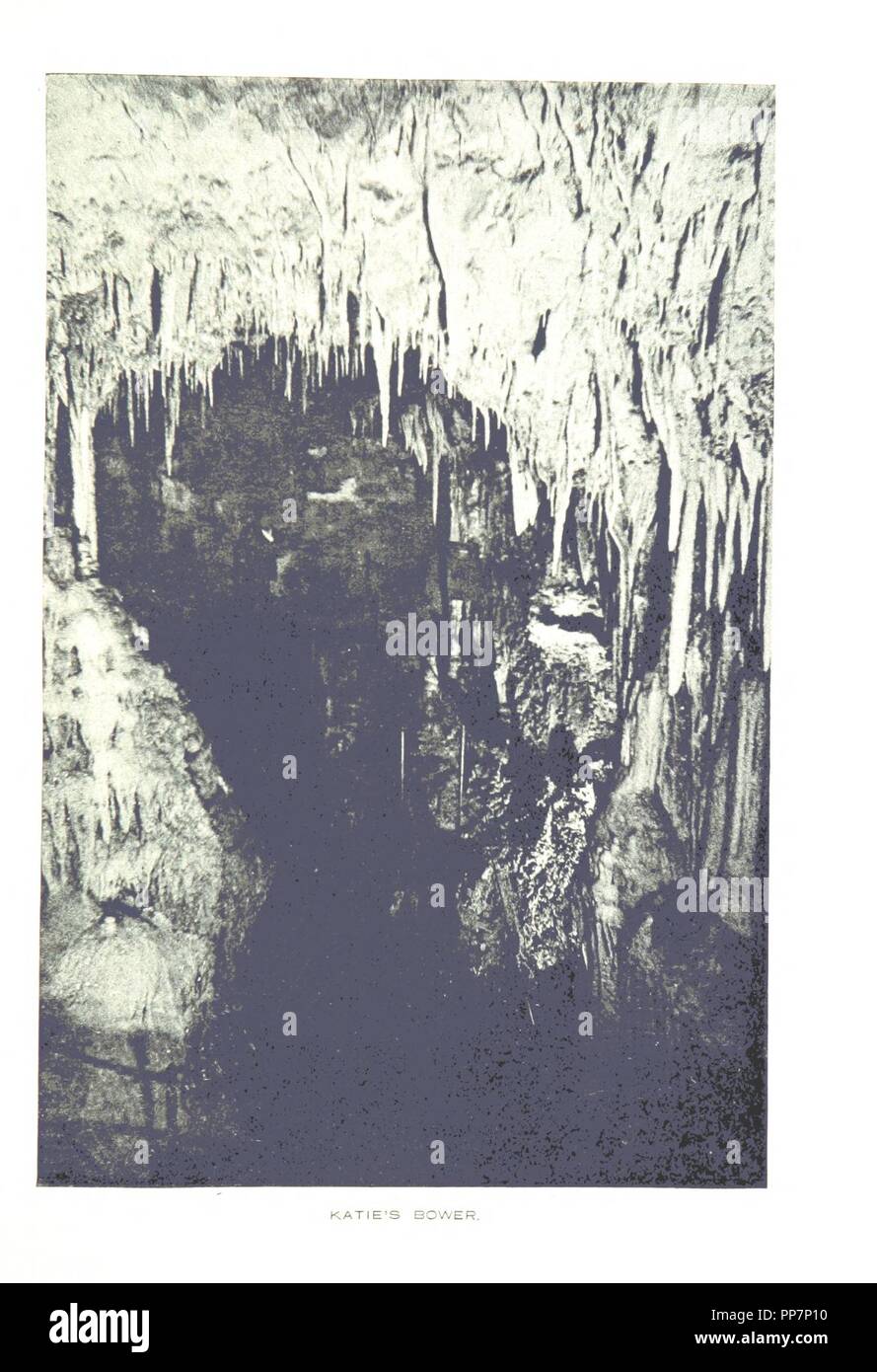 Image from page 123 of 'The Jenolan Caves an excursion in Australian ...