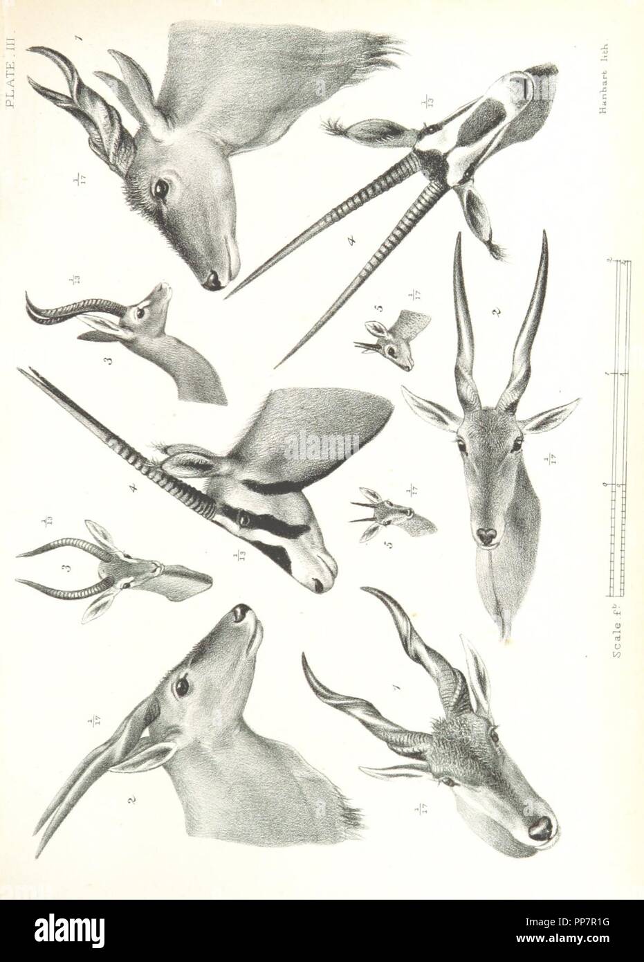 Mesai hi-res stock photography and images - Alamy