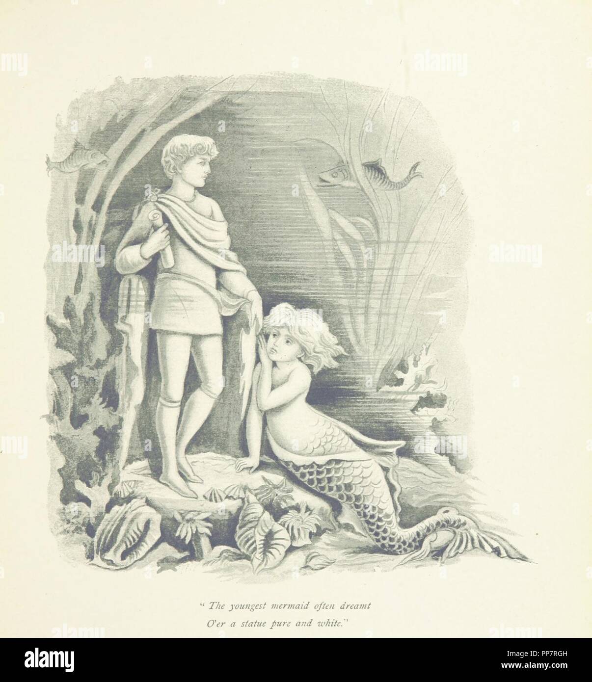 Mermaiden hi-res stock photography and images - Alamy
