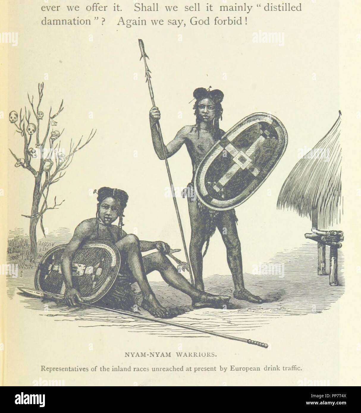 Image from page 177 of 'The New World of Central Africa. With a history ...