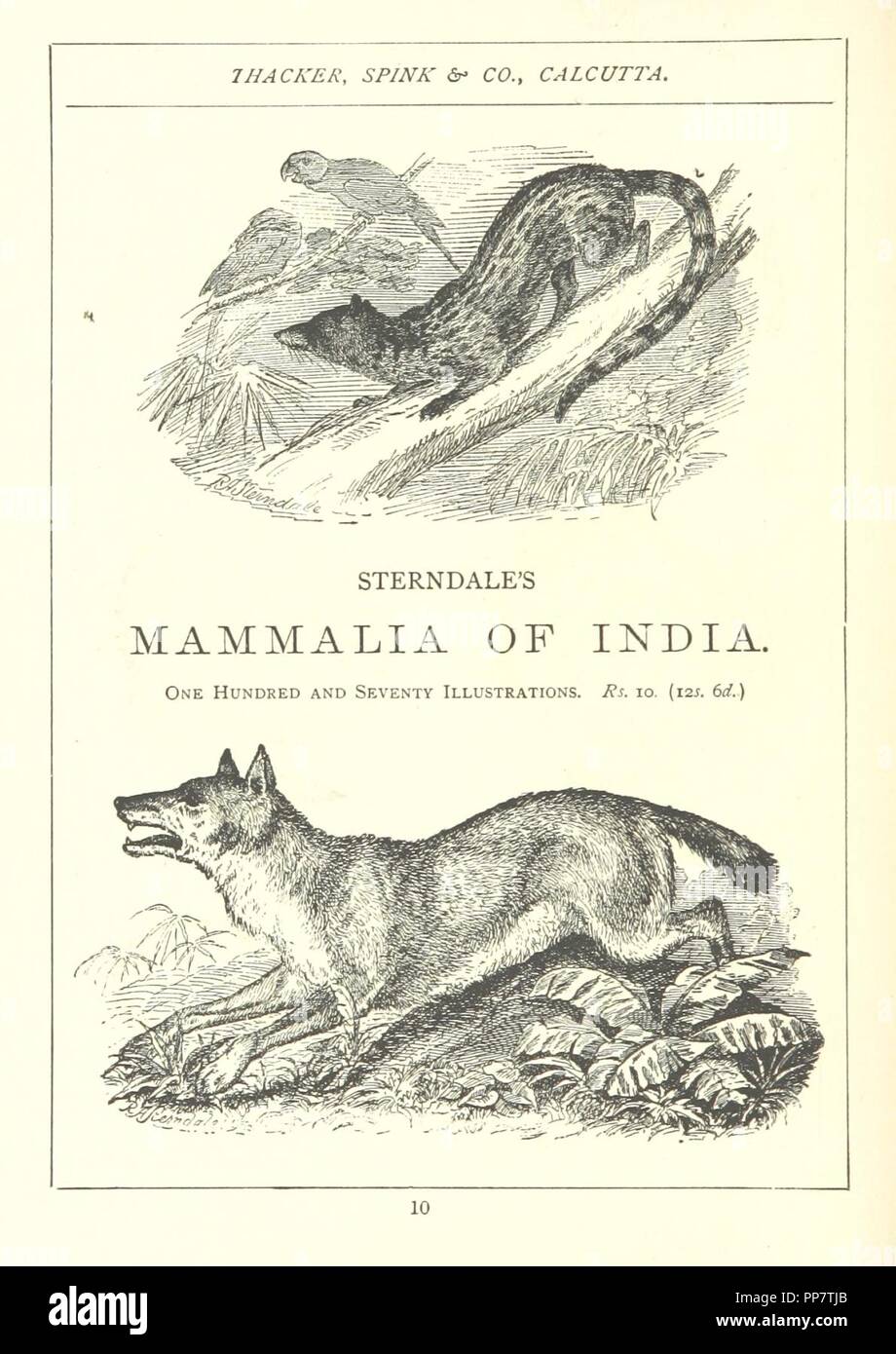 Image from page 184 of 'Behind the Bungalow. [“Papers published in the ...