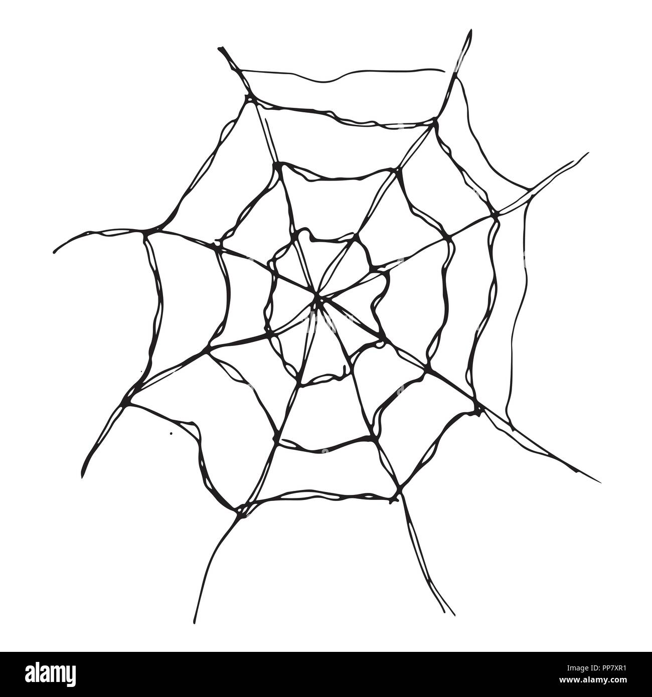 Spider web Hand drawn sketched web vector illustration isolated on ...