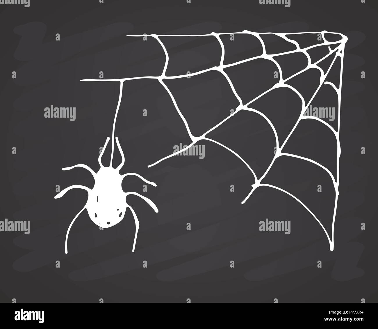 Spider web Hand drawn sketched web vector illustration on chalkboard ...