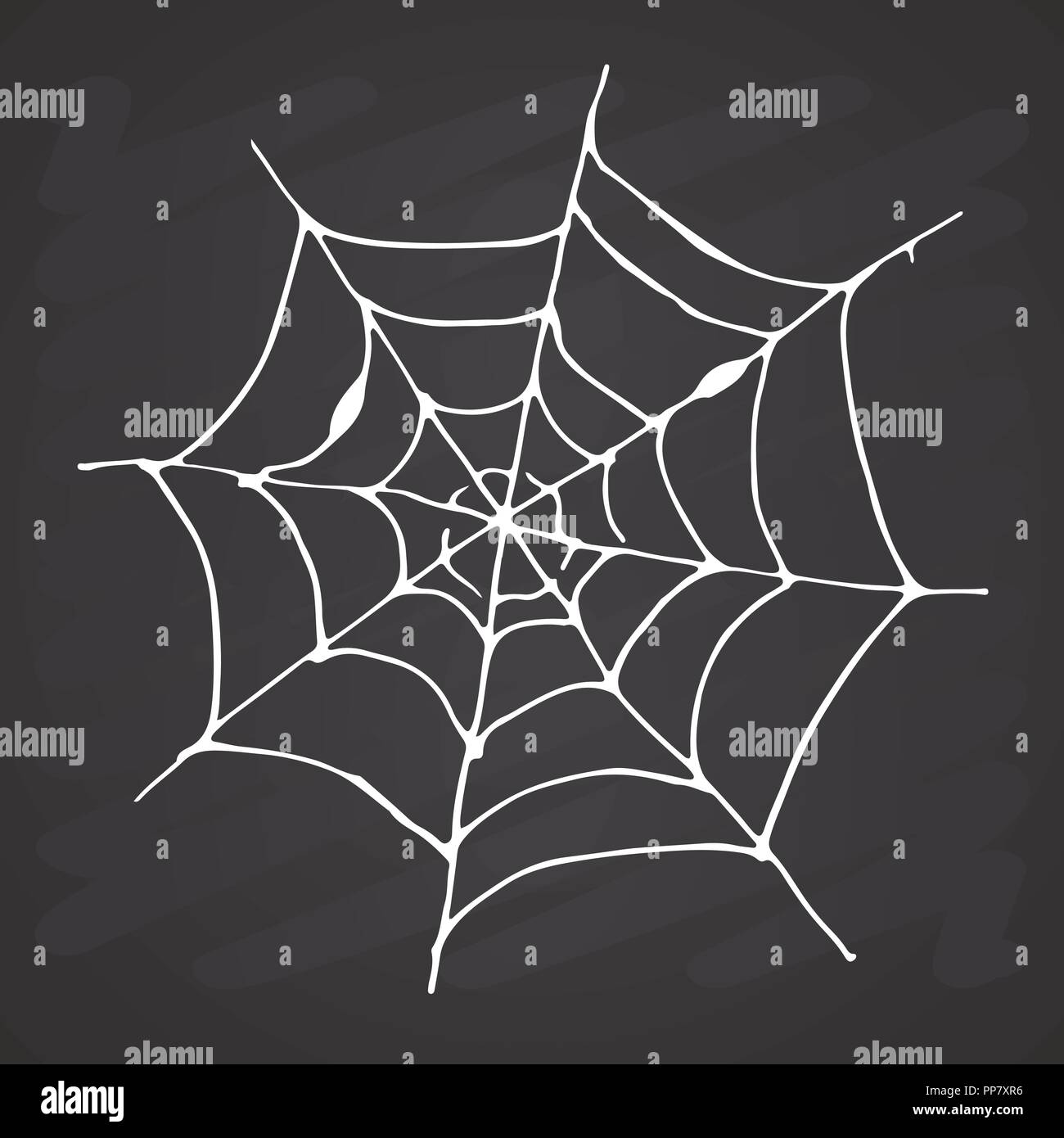 Spider web Hand drawn sketched web vector illustration on chalkboard ...