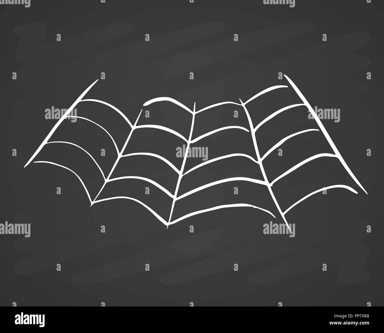 Spider web Hand drawn sketched web vector illustration on chalkboard ...