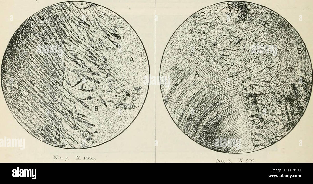 "Journal - American Medical Association" (1883 Stock Photo - Alamy