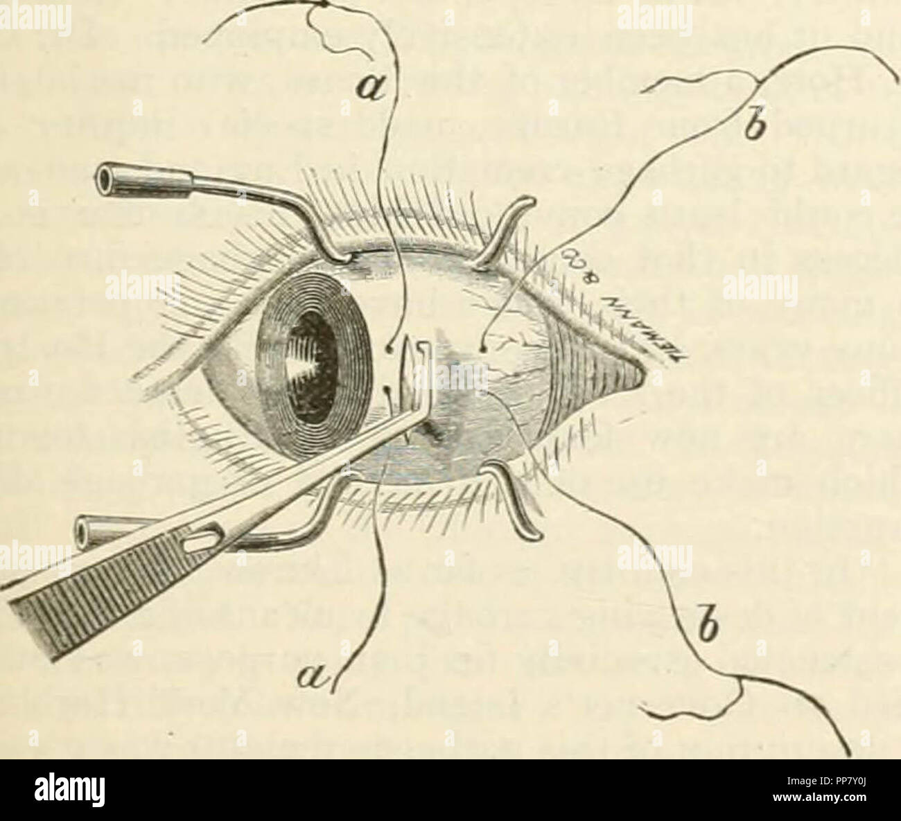 "Journal - American Medical Association" (1883 Stock Photo - Alamy