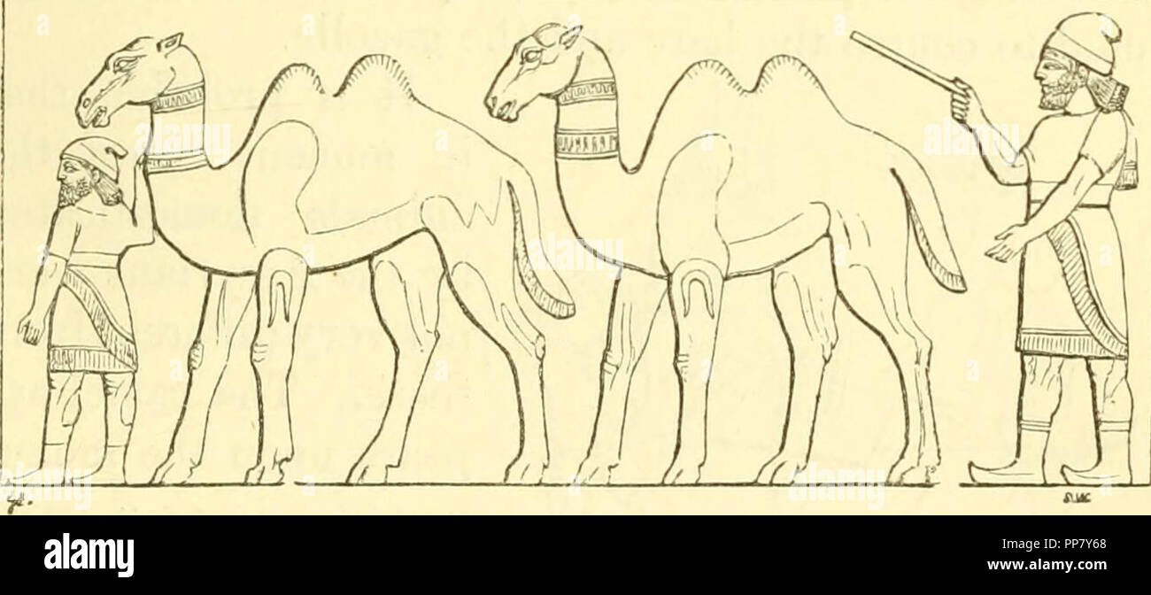 "The five great monarchies of the ancient eastern world; or, The ...