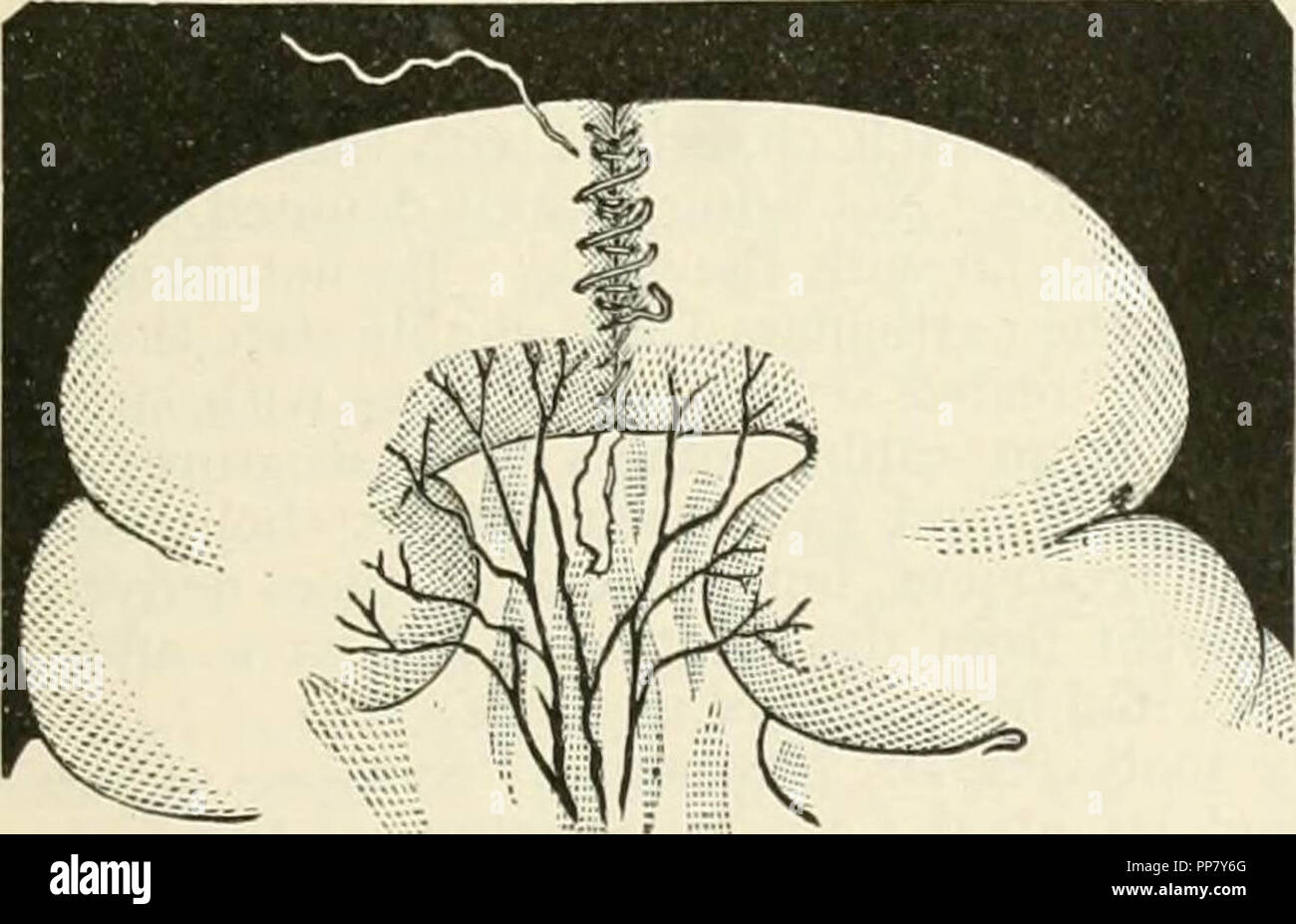"Journal - American Medical Association" (1883 Stock Photo - Alamy
