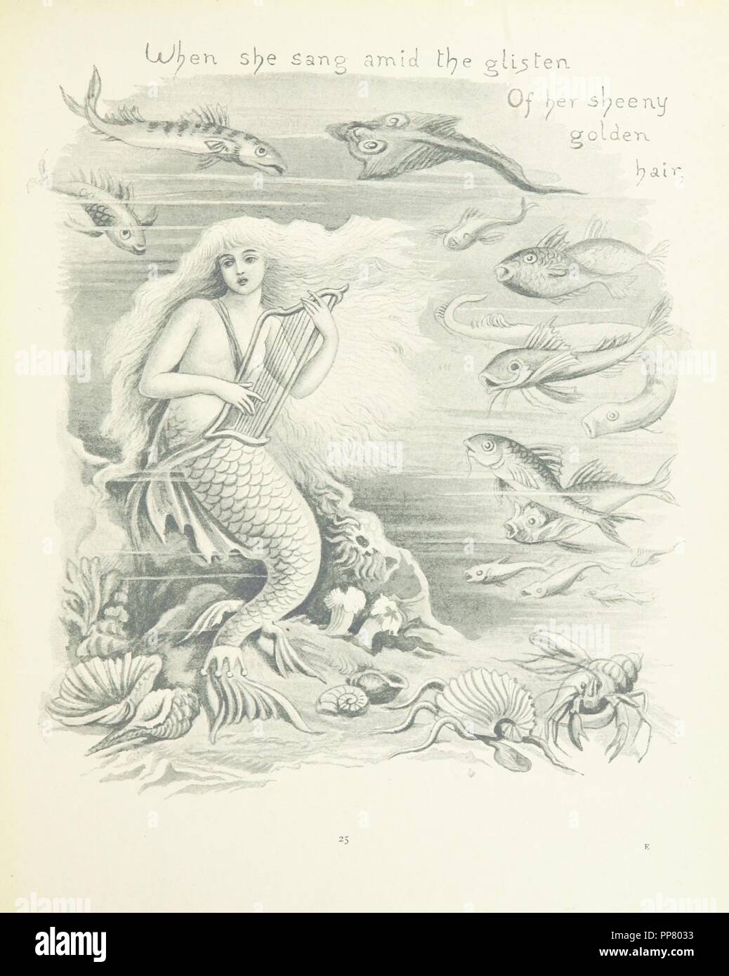 Image from page 29 of 'The Story of the Mermaiden. Adapted from the ...