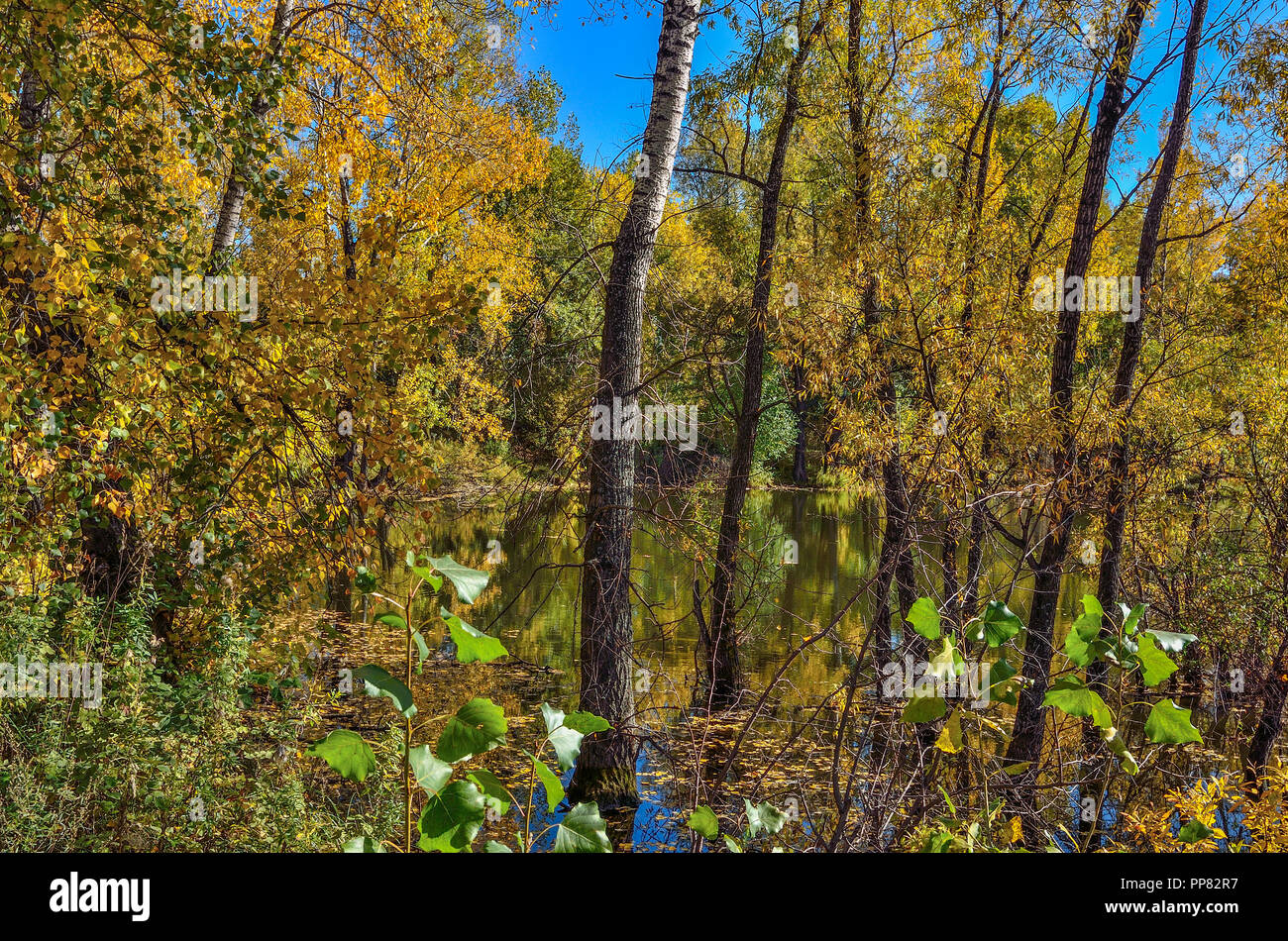 September weather hi-res stock photography and images - Alamy