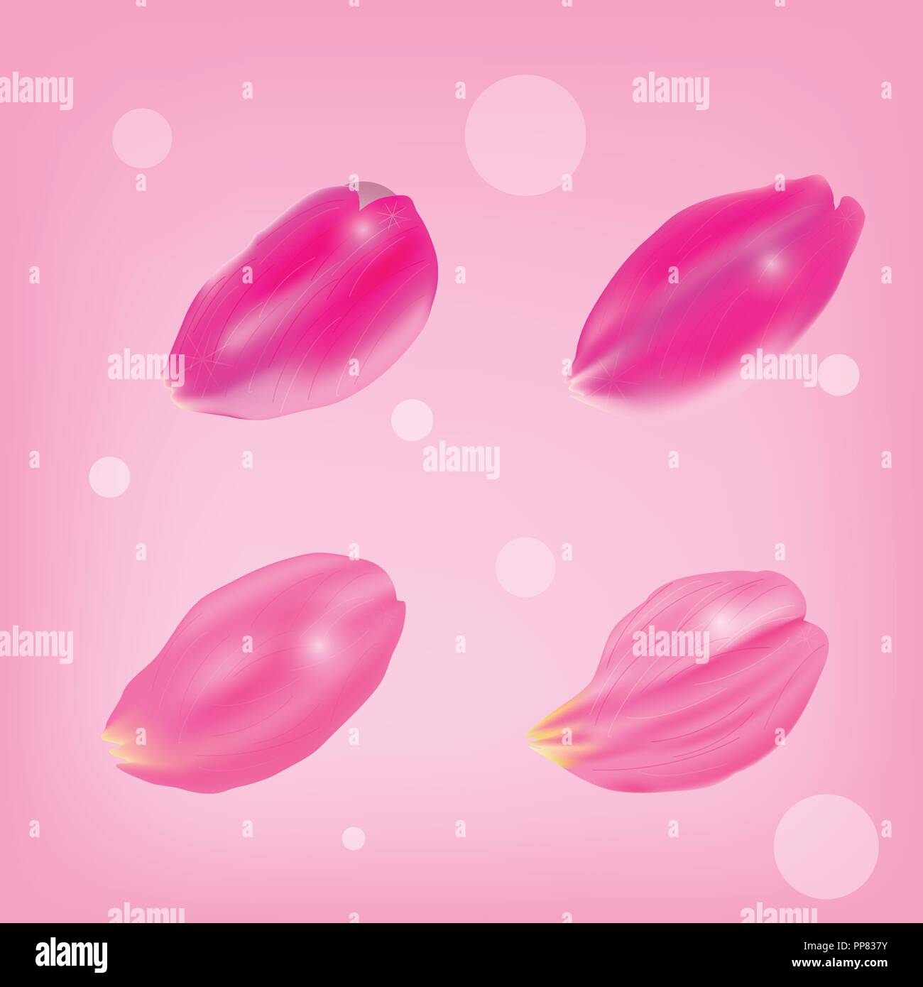 Vector illustration. Set of pink rose petals on a pink background Stock ...
