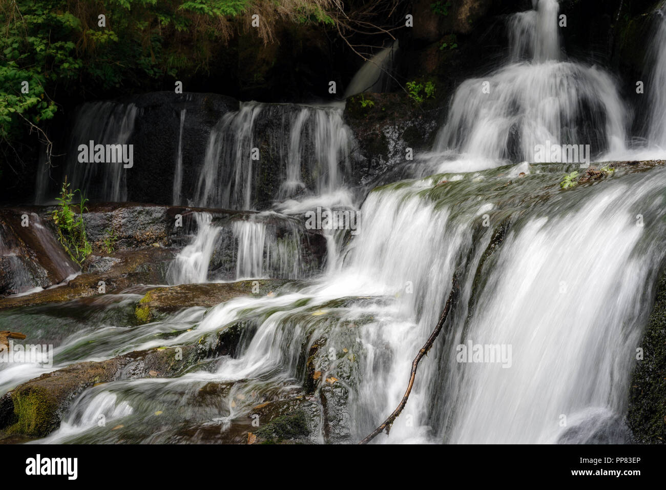 Alsea falls campground hi-res stock photography and images - Alamy