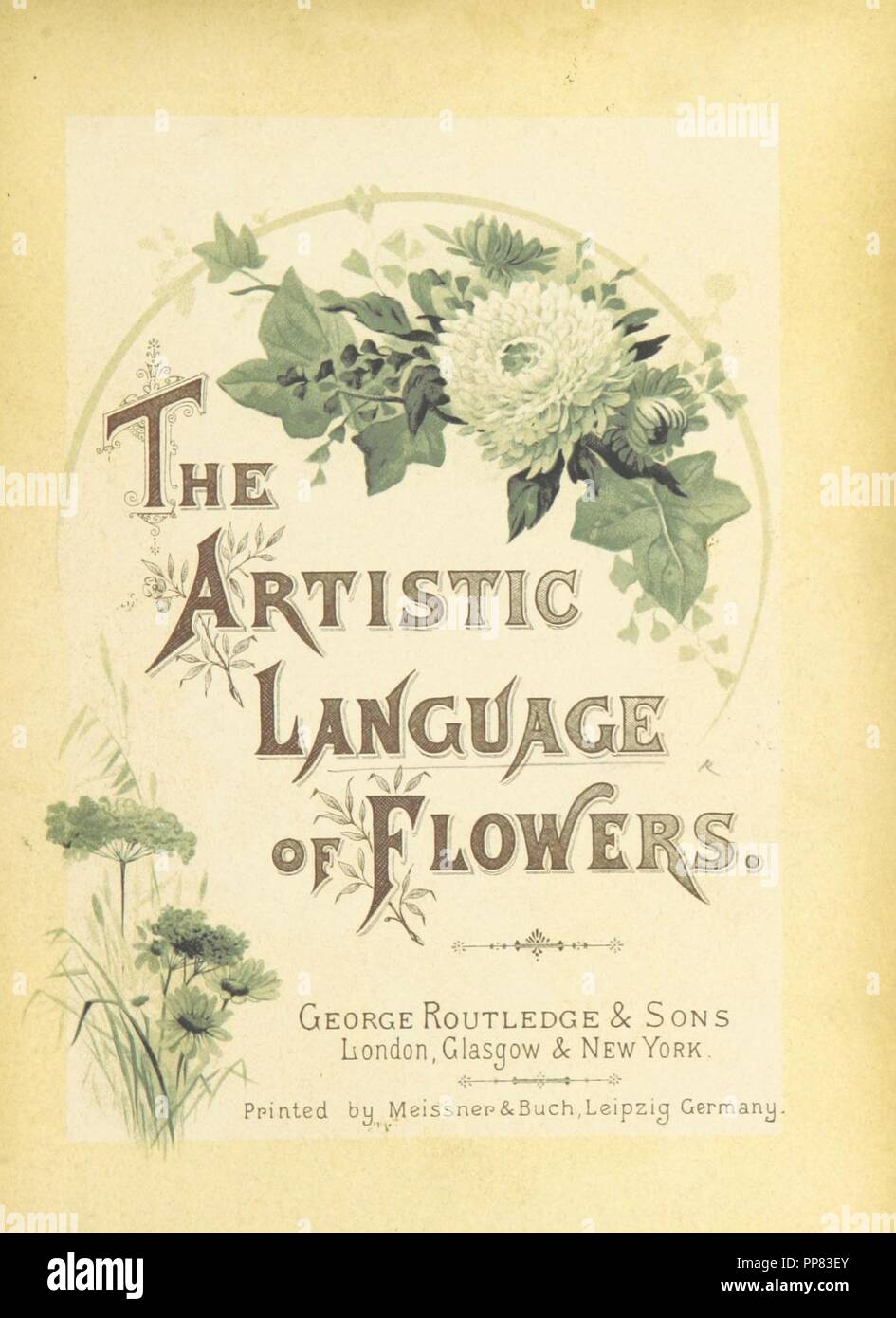 Artistic language flowers illustrations image hi-res stock photography ...