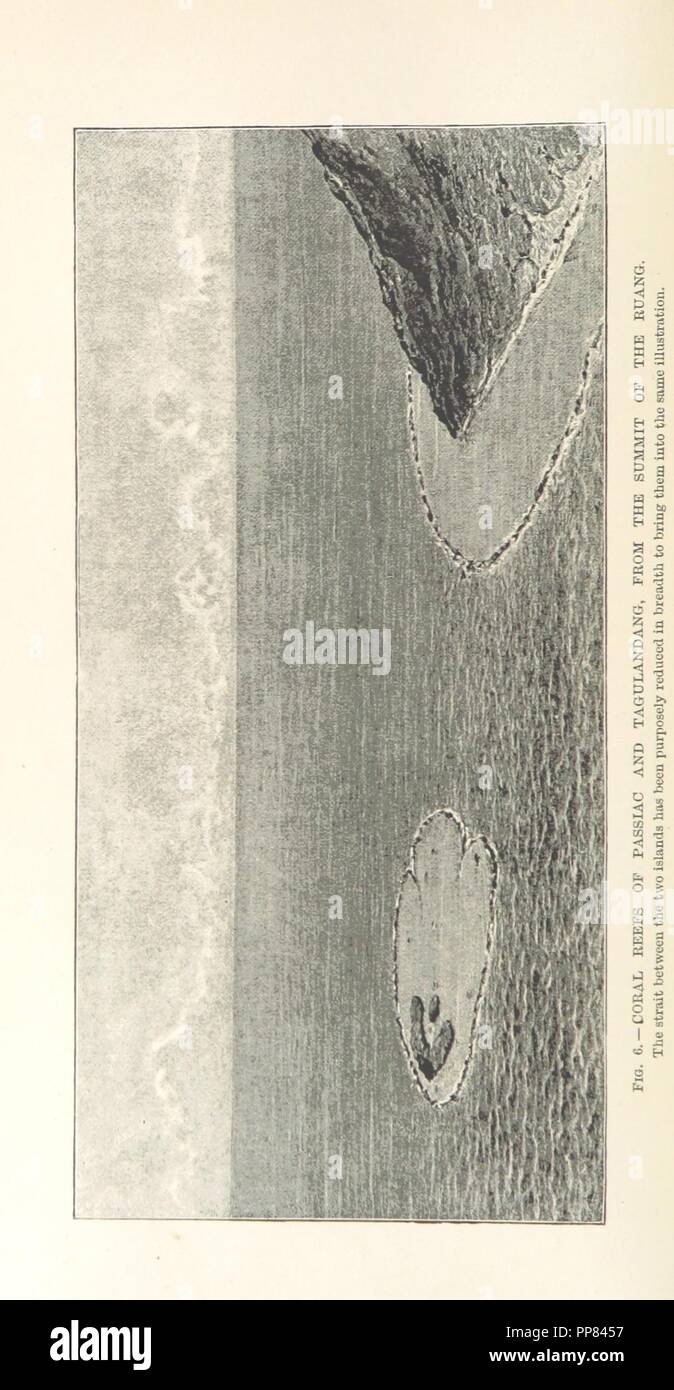 Image from page 80 of 'A Naturalist in North Celebes. A narrative of ...