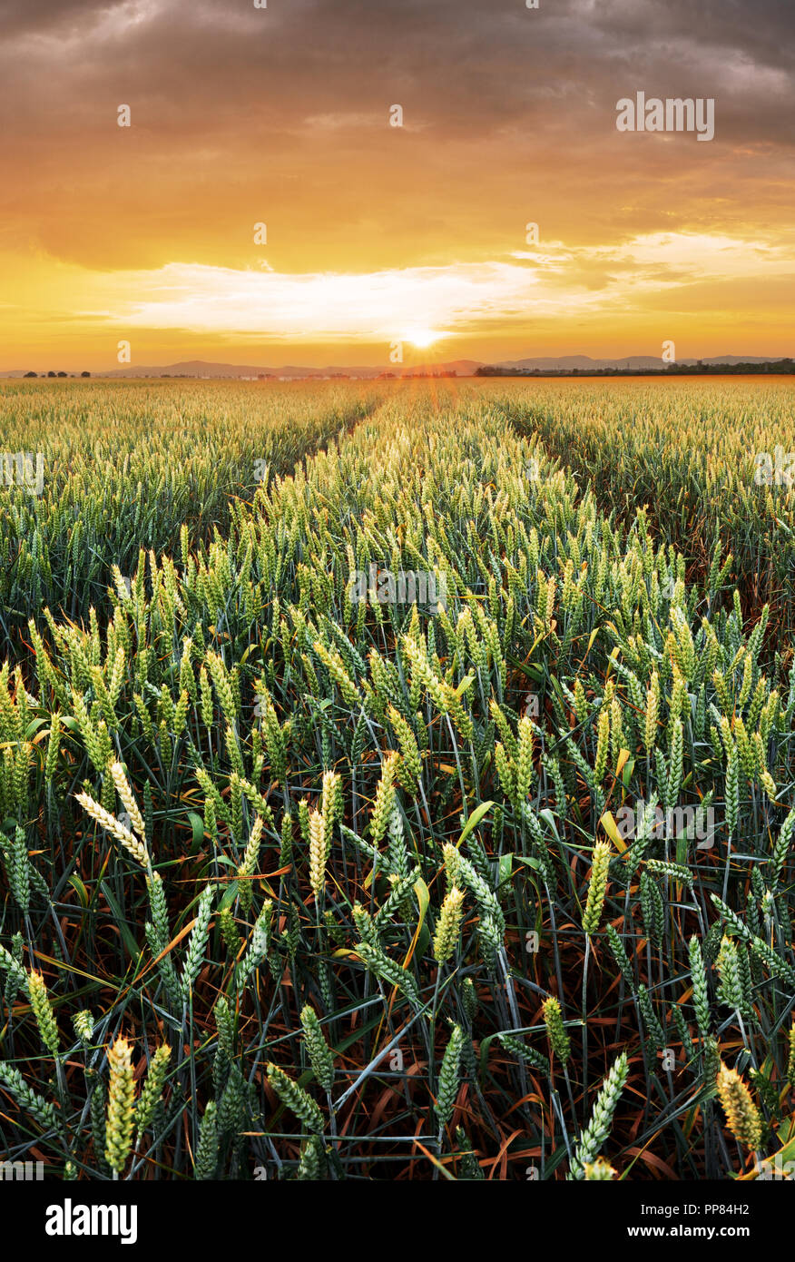 Rural landscape on spring hi-res stock photography and images - Alamy