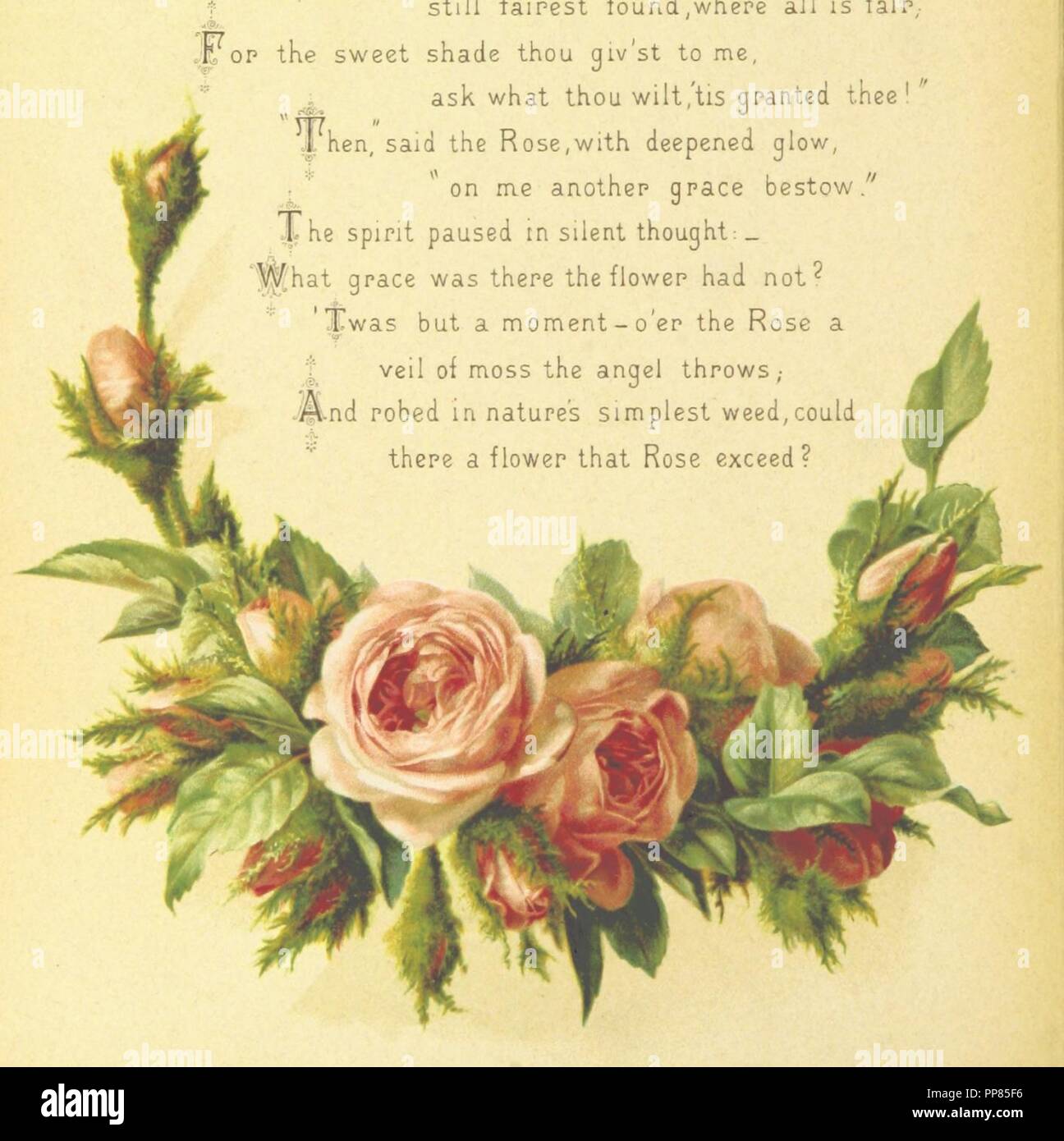 Artistic language flowers illustrations image hi-res stock photography ...