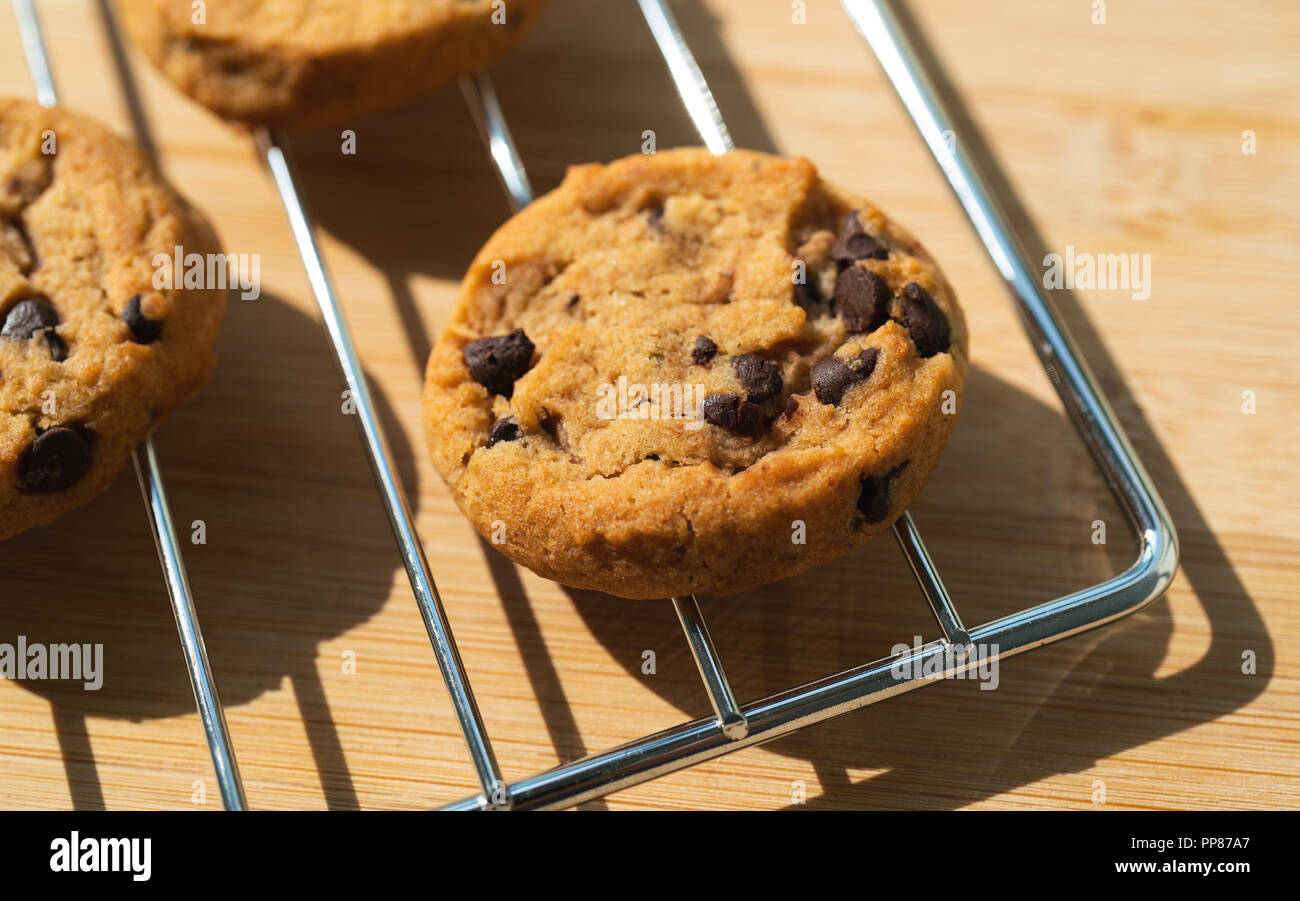 Homemade soft chocolate chips cookies on an oven shelf and sun light ...
