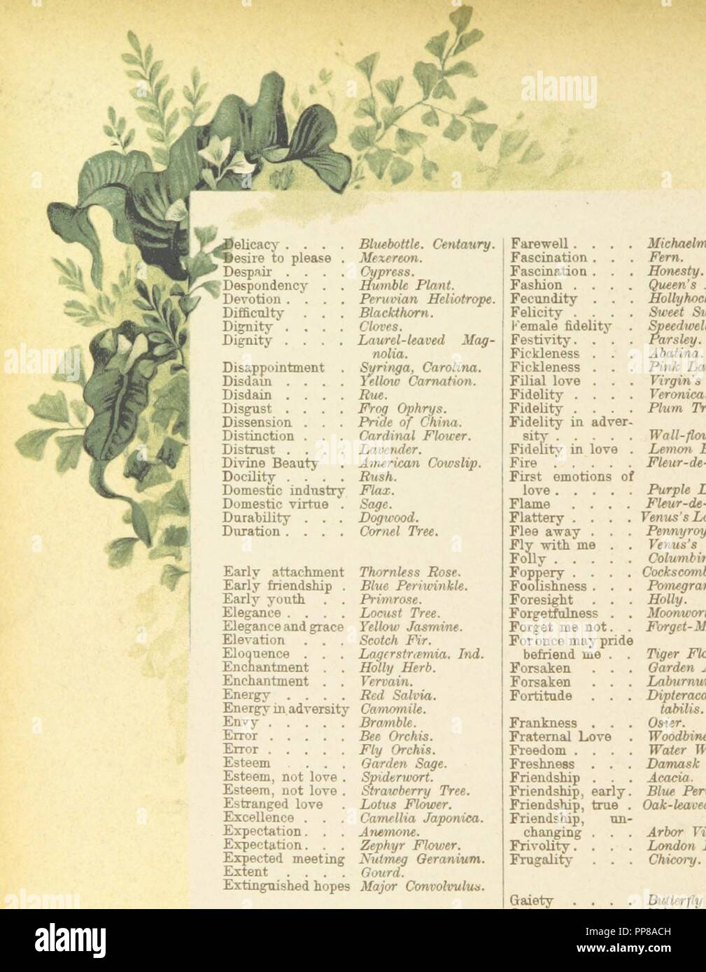 Artistic language flowers illustrations image hi-res stock photography ...