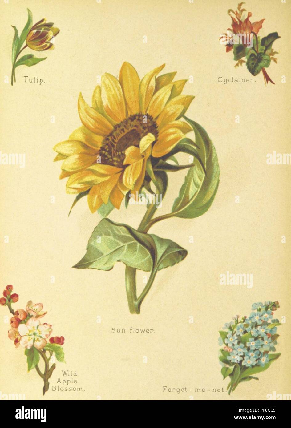 Artistic language flowers illustrations image hi-res stock photography ...