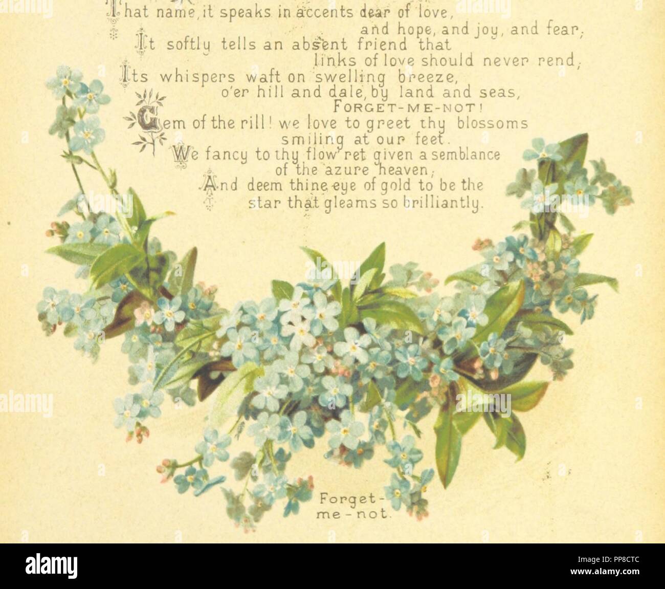 Artistic language flowers illustrations image hi-res stock photography ...