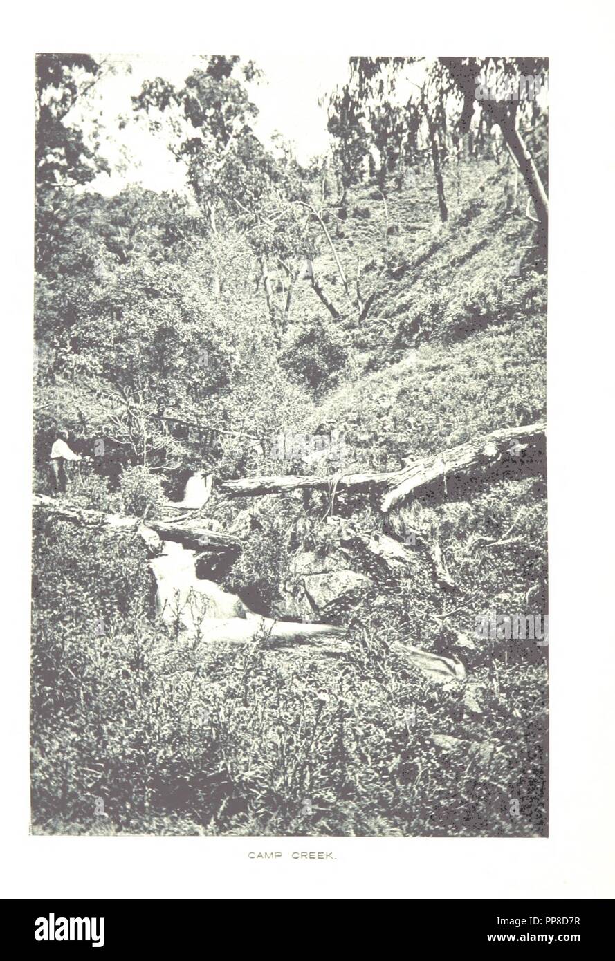Image from page 34 of 'The Jenolan Caves an excursion in Australian ...