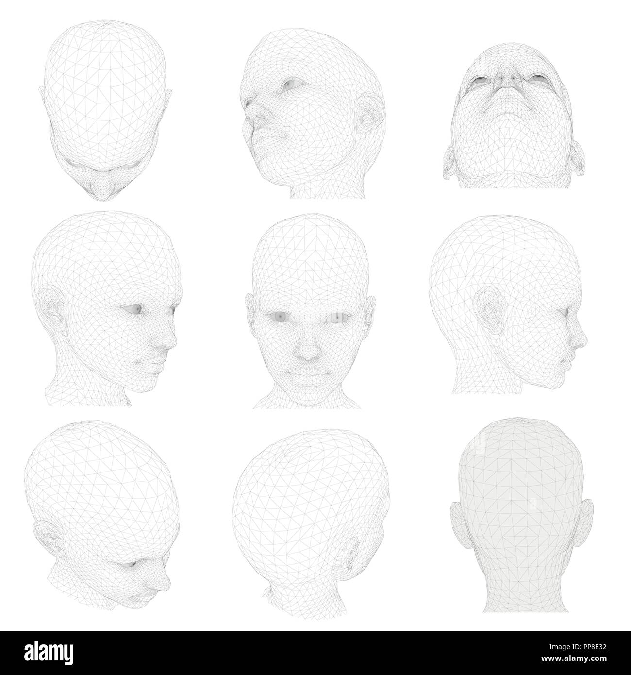 Set Of Girls Head From Different Angles Vector Illustration 3d Stock
