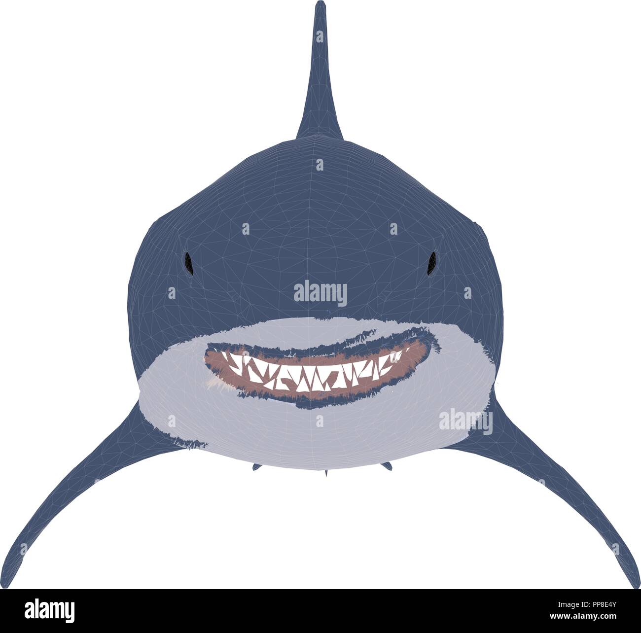 Vector illustration of a shark in the front. 3D Stock Vector Image ...