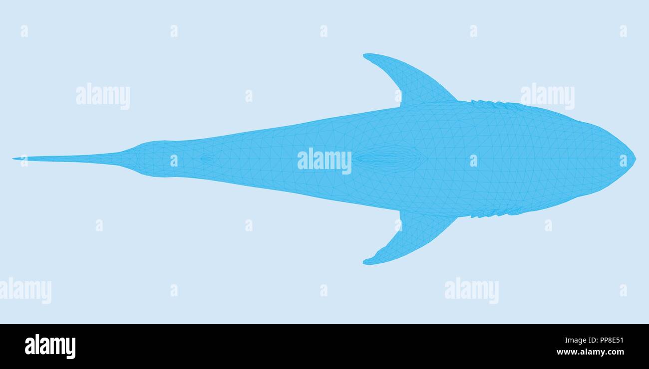Vector illustration of a shark from above. 3D Stock Vector Image & Art ...