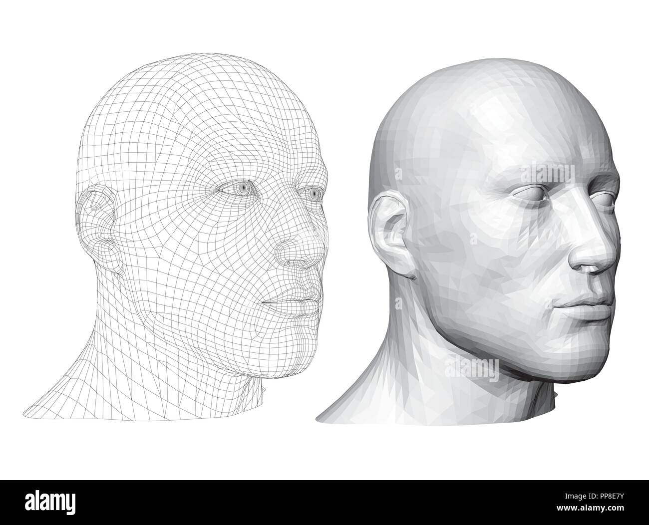 Realistic male head. Polygonal skin. Isolated. 3D. EPS 8. Vector ...